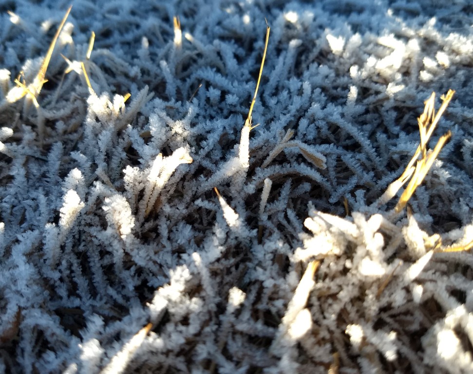 Sunrise at Tiger Hill, Darjeeling – freeze and hike for the golden ...