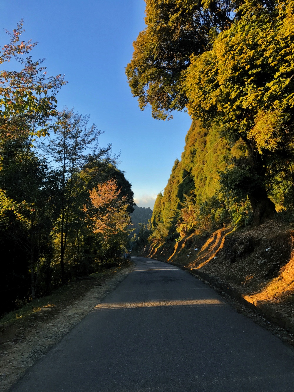Darjeeling to Mirik. The prettiest mountain road – East Indian Traveller