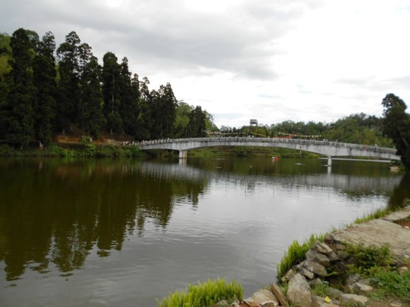 Darjeeling to Mirik. The prettiest mountain road – East Indian Traveller