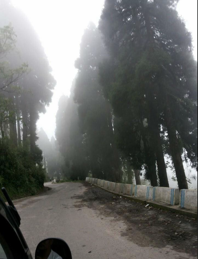 Darjeeling to Mirik. The prettiest mountain road – East Indian Traveller