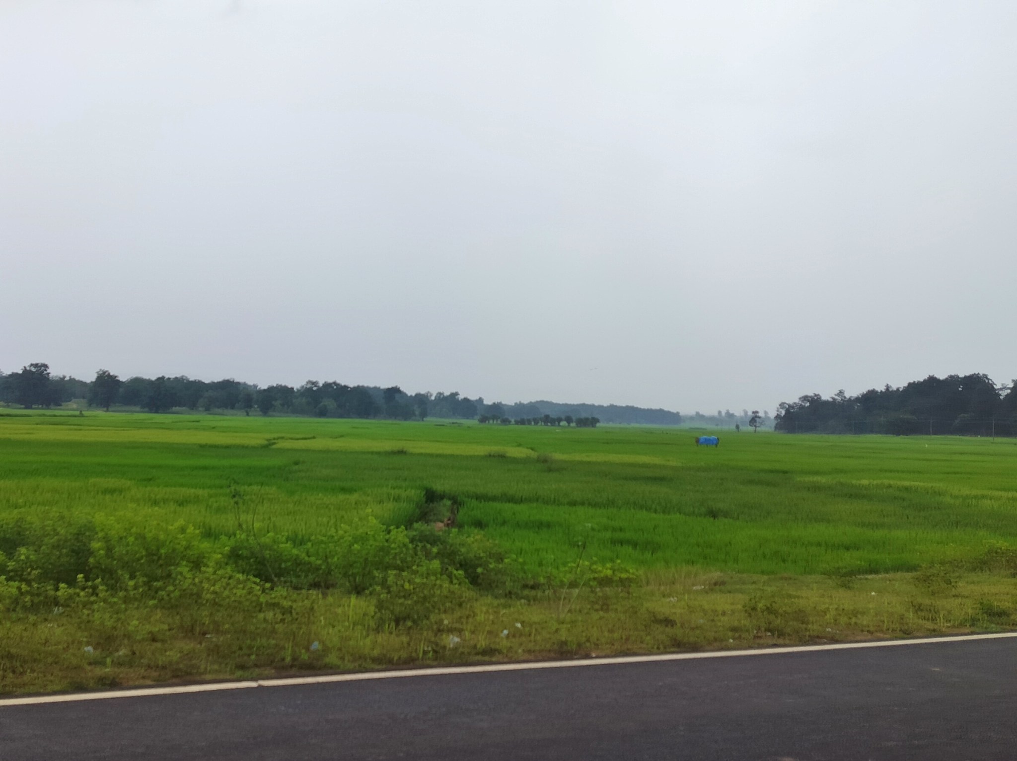 The Ultimate Koraput Tour Guide – Places to visit, Itinerary and lots ...